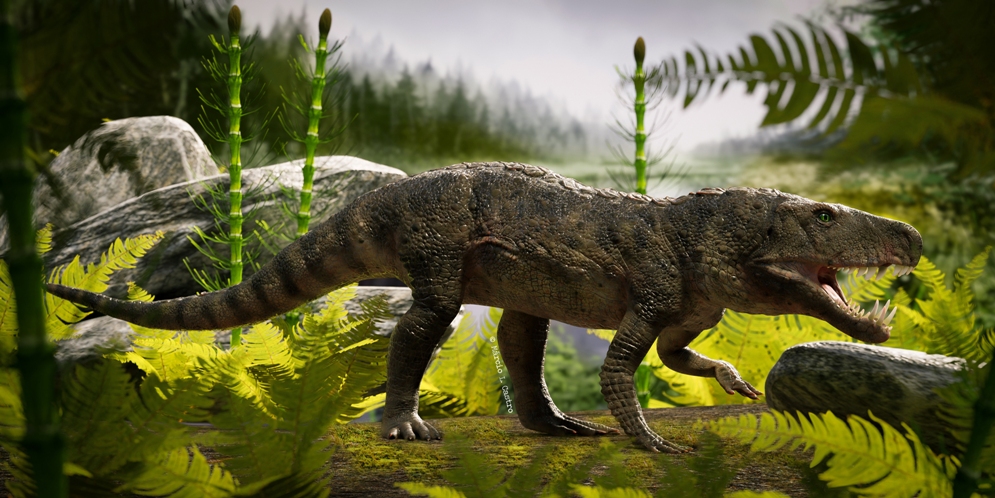 Scientists reconstruct the skeleton of an ancestor of the crocodile ...