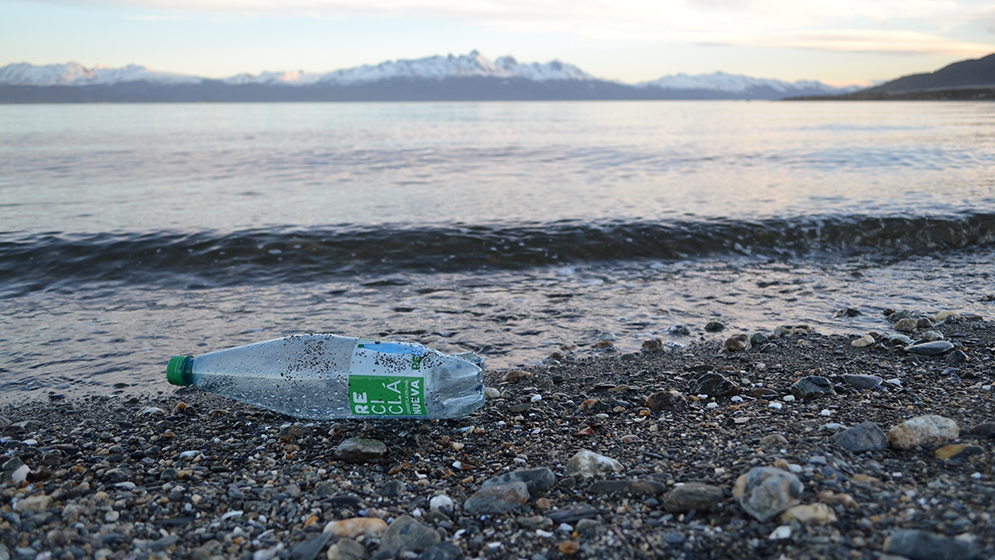Microplastics: invisible threat of the seas | CONICET Microplastics: invisible threat of the seas | CONICET