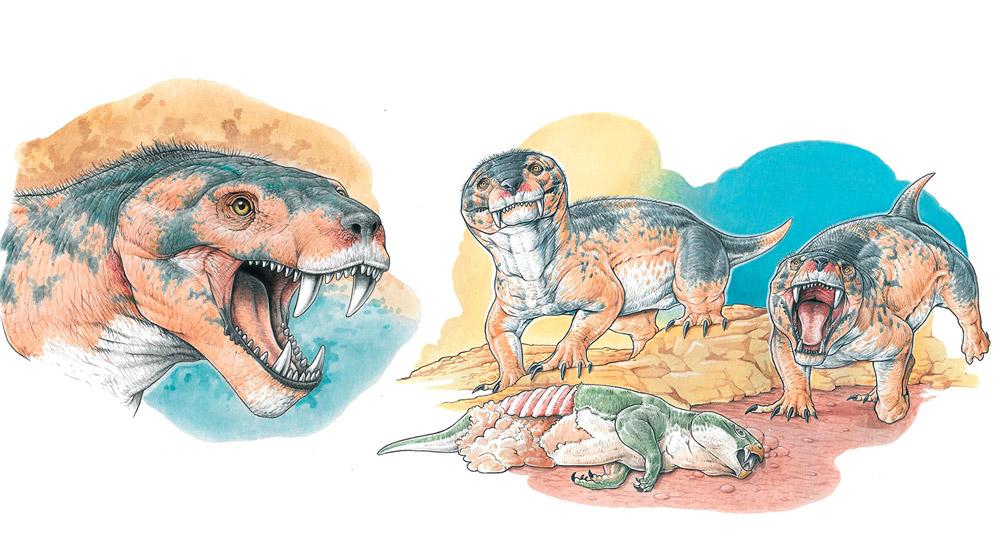 Vetusodon elikhulu | CONICET