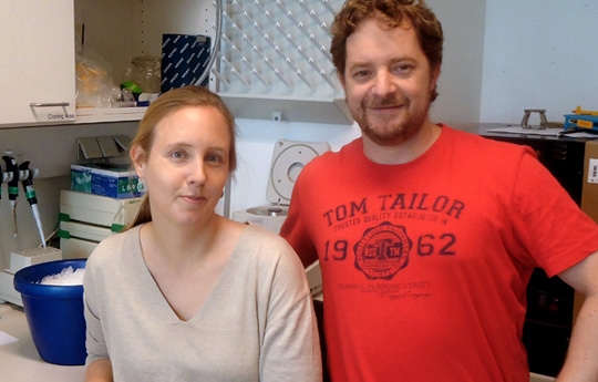 ¿Cómo se conservan las conexiones cerebrales? | CONICET