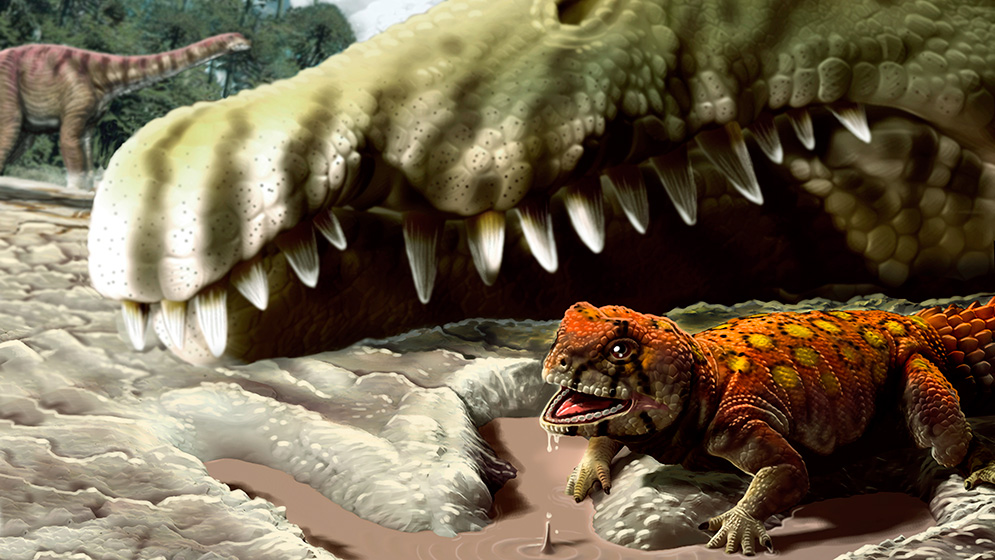 CONICET paleontologist found the oldest lizard of the African Continent ...